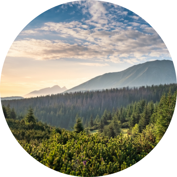 Westside Cremation and Burial Services